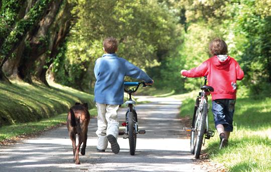 Luxury Holiday Cottages in Cornwall, Trelowarren