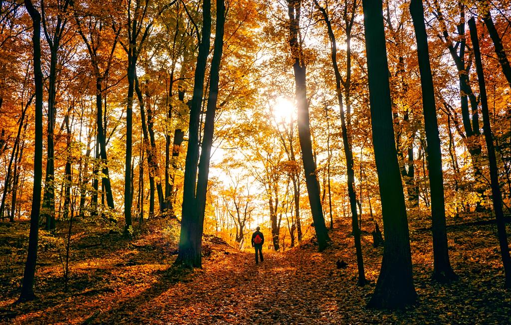 Cottages | Culdee-Cottage | Culdee-Cottage